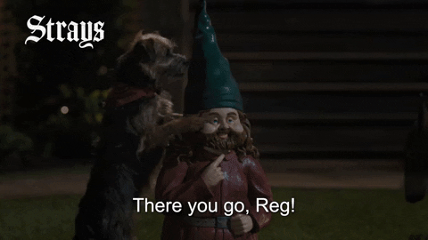 Funny-gnome GIFs - Get the best GIF on GIPHY