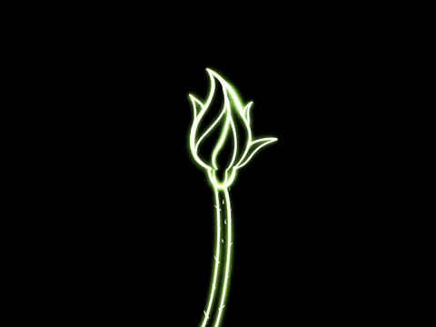 Neon Flower GIFs - Get the best GIF on GIPHY