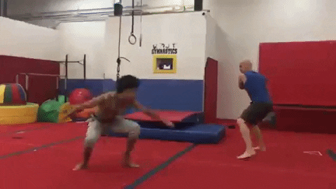 Ninja Flip GIFs - Get the best GIF on GIPHY