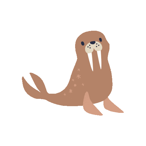 Walrus Bucket Gif