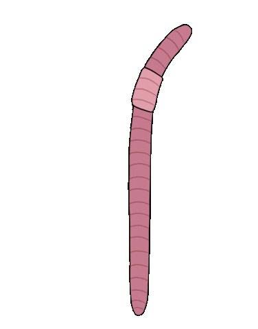 Dance Worm Sticker by NOHARA for iOS & Android | GIPHY