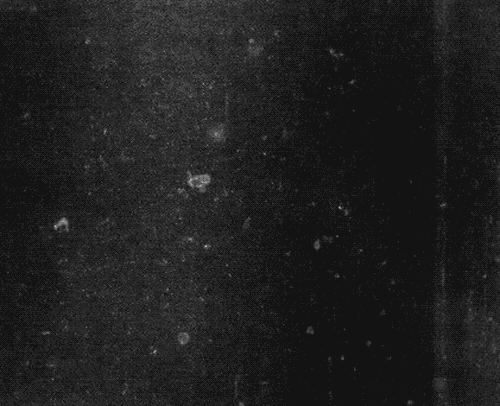 8mm-film GIFs - Get the best GIF on GIPHY