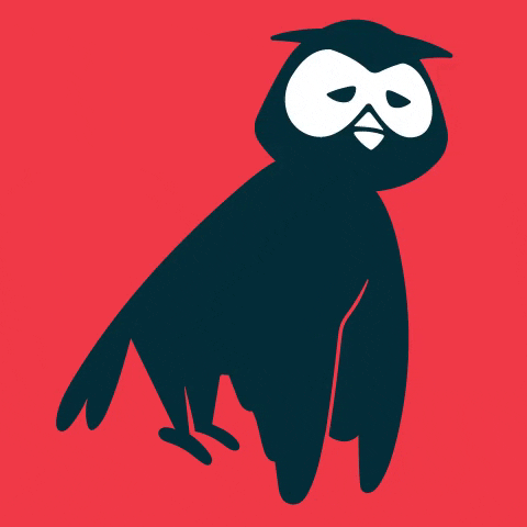 Sad Owl GIF by Hootsuite - Find & Share on GIPHY