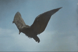 [Kaiju] Legendary Rodan by IreneRoxanne666 on DeviantArt