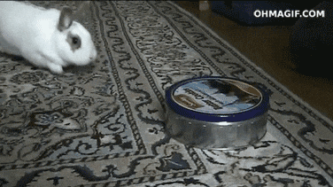 Taking GIFs - Get the best GIF on GIPHY