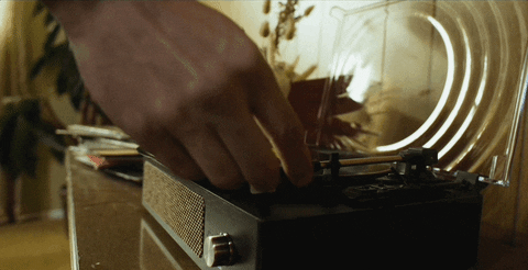 Pop-punk-vinyl GIFs - Get the best GIF on GIPHY