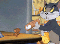 Tom And Jerry Fighting Gif