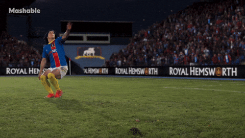 Danny Rojas GIFs - Get the best GIF on GIPHY