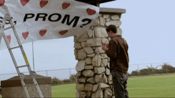 Laguna Beach GIFs on GIPHY - Be Animated