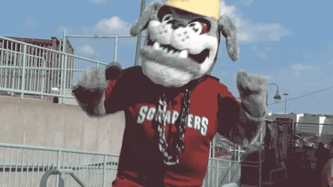 Mahoning Valley Scrappers GIF - Find & Share on GIPHY