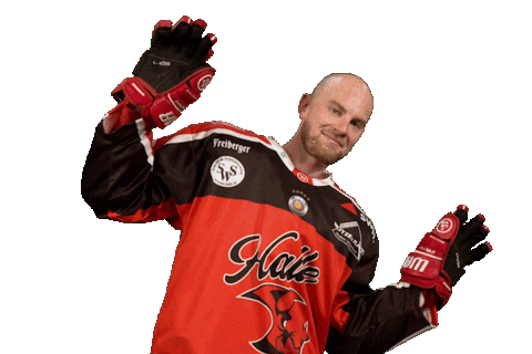 Saale Bulls GIFs on GIPHY - Be Animated