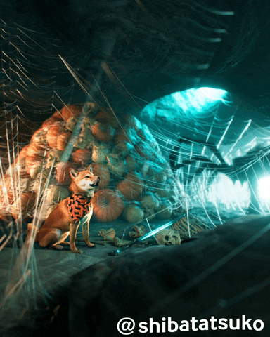 Lords-of-salem GIFs - Get the best GIF on GIPHY