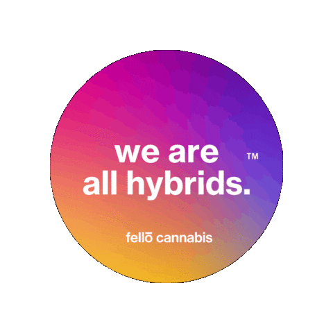 fello GIFs on GIPHY - Be Animated