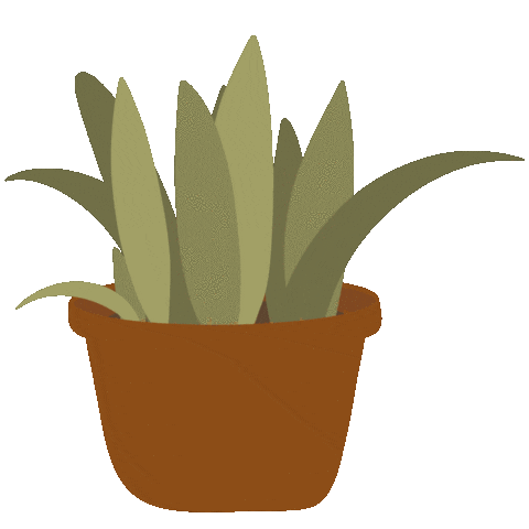 Plant Growing Sticker for iOS & Android | GIPHY
