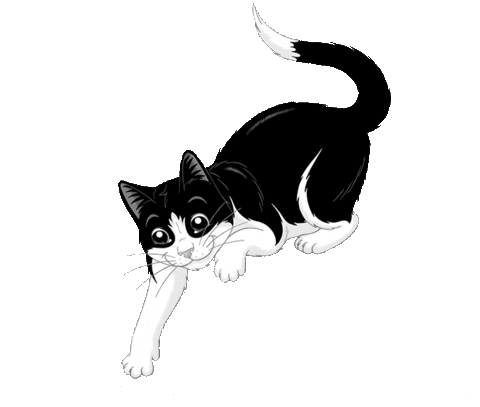 Purina Felix GIFs on GIPHY - Be Animated