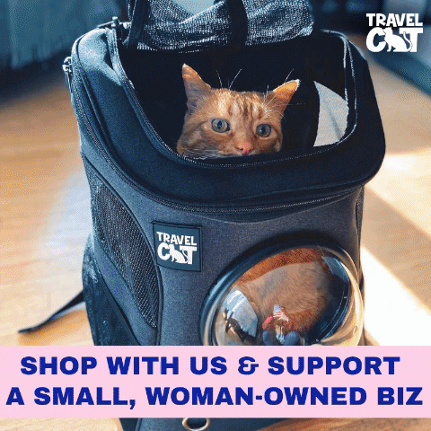 Cat-shopping GIFs - Get the best GIF on GIPHY