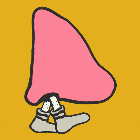 Senses GIFs - Get the best GIF on GIPHY