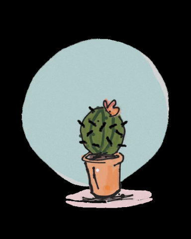 Blinking Hearts GIFs - Get the best GIF on GIPHY