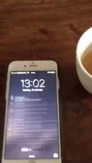 Notifications GIFs - Get the best GIF on GIPHY