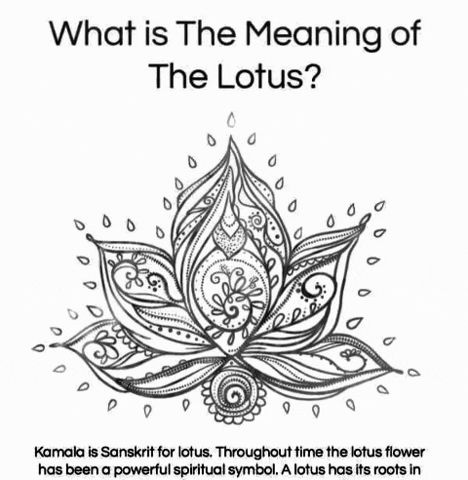 Life-experience GIFs - Get the best GIF on GIPHY