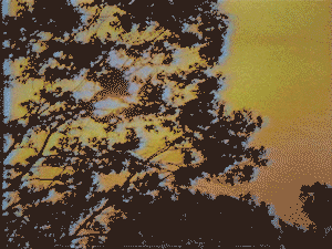 Vintage Vhs GIF by rotomangler - Find & Share on GIPHY