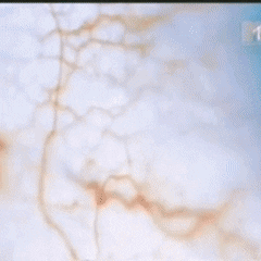 Fragilty GIFs - Get the best GIF on GIPHY