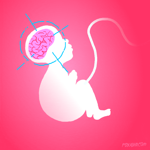 Brain Scanner GIFs - Get the best GIF on GIPHY