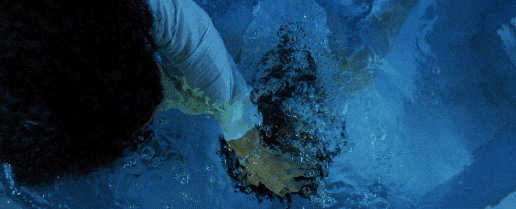 Short-hop GIFs - Get the best GIF on GIPHY