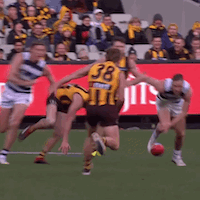 Hawks Footy GIF by AFL - Find & Share on GIPHY