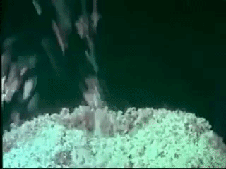 Concession-commercial GIFs - Get the best GIF on GIPHY