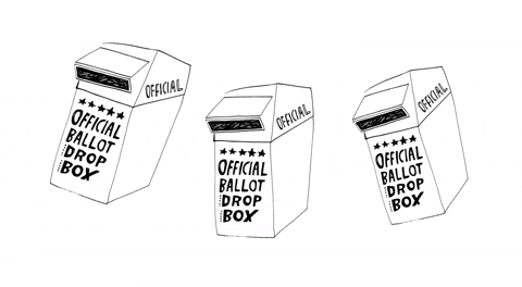 Election Voting GIF - Find & Share on GIPHY