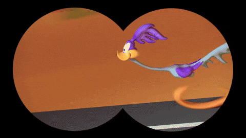 Road Runner Meep Meep Gif