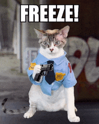 Cat With Machine Gun Gif