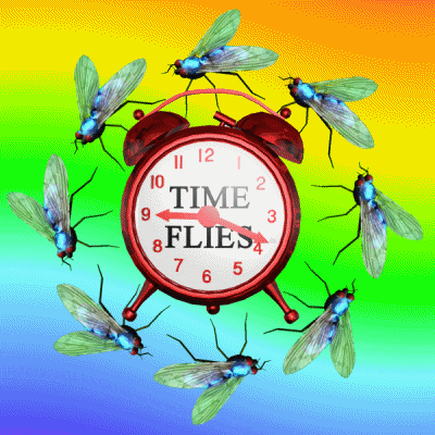 Flies-into-the-sun-screaming-otp GIFs - Get the best GIF on GIPHY