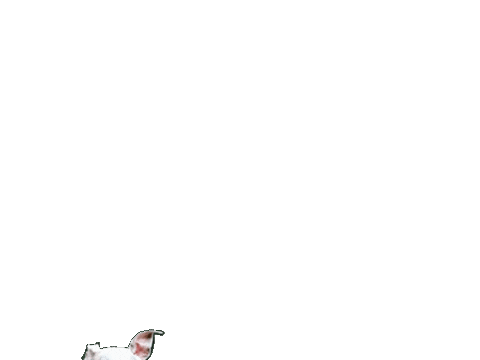 havohravo GIFs on GIPHY - Be Animated