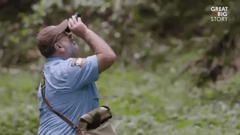 Looking I See You GIF by Great Big Story - Find & Share on GIPHY