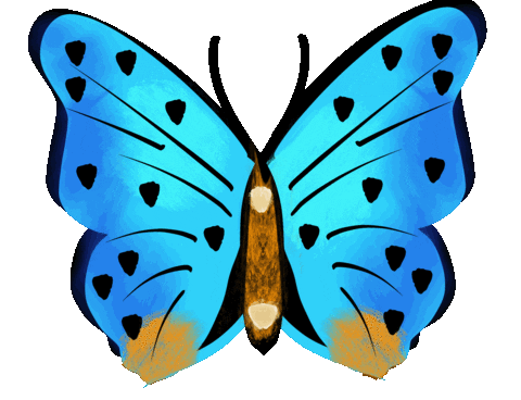 Flapping Butterfly Gif