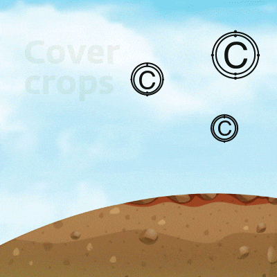 Conscious Planet - Save Soil GIFs - Find & Share on GIPHY