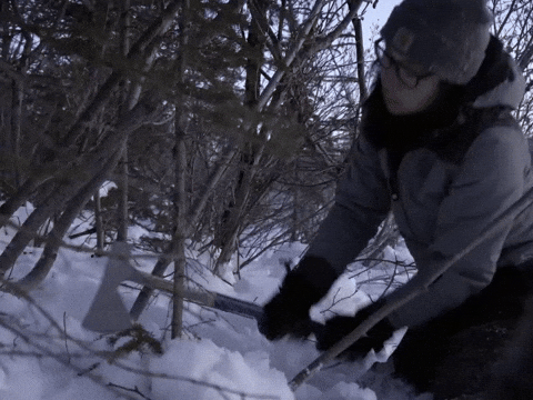 Strong Zero GIFs - Get the best GIF on GIPHY