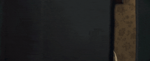 Gregor Selkirk GIFs - Get the best GIF on GIPHY