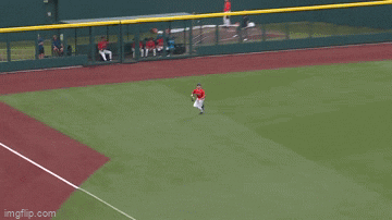 Auburn-baseball GIFs - Get the best GIF on GIPHY
