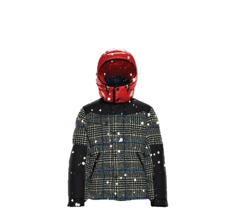 Winter Genius Sticker by Moncler for iOS & Android | GIPHY