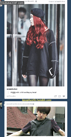 Exo-fandom GIFs - Get the best GIF on GIPHY