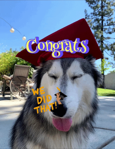 Congrats GIF - Find & Share on GIPHY