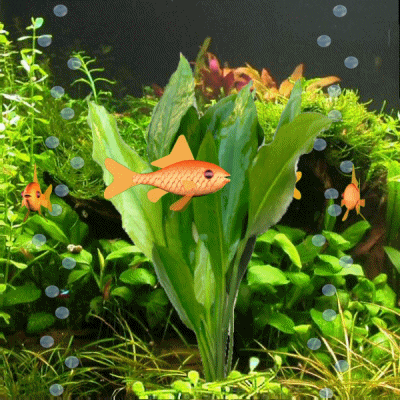 Fish Tank Water GIF - Find & Share on GIPHY