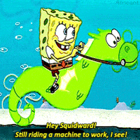 Spongebob Seahorse Gif