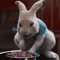 Monty Python And The Holy Grail Bunny Gif