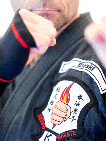 Martial Arts Fight GIF by Flaming Fist Kenpo Germany - empty hands e.V ...