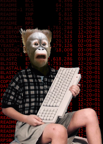 Animation Monkey GIF by weinventyou - Find & Share on GIPHY