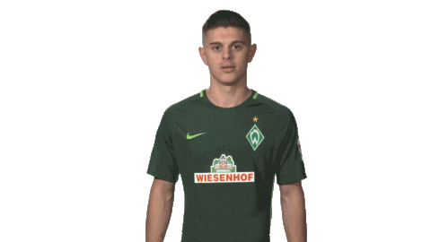 Happy Werder Bremen Sticker by Bundesliga for iOS & Android | GIPHY